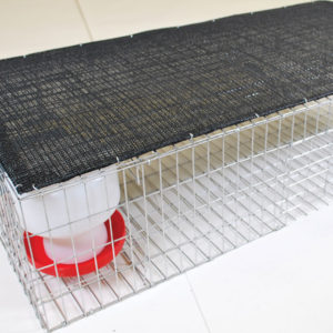Bird Traps – IPC BAHRAIN